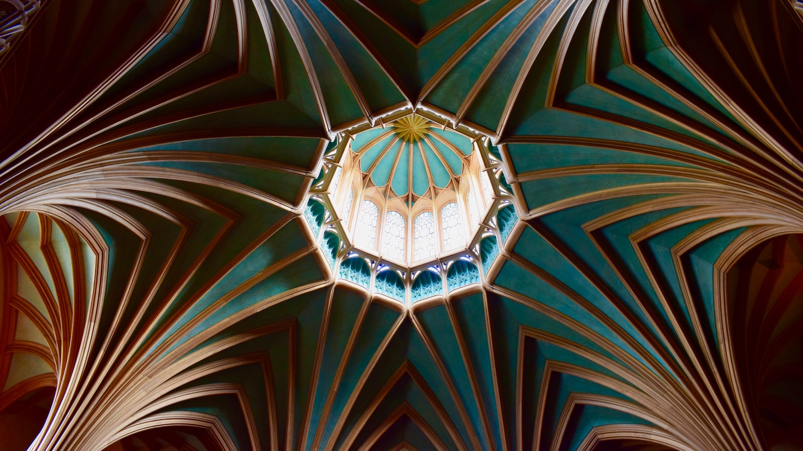 Essay Writing A Beginner S Guide Essay Writing