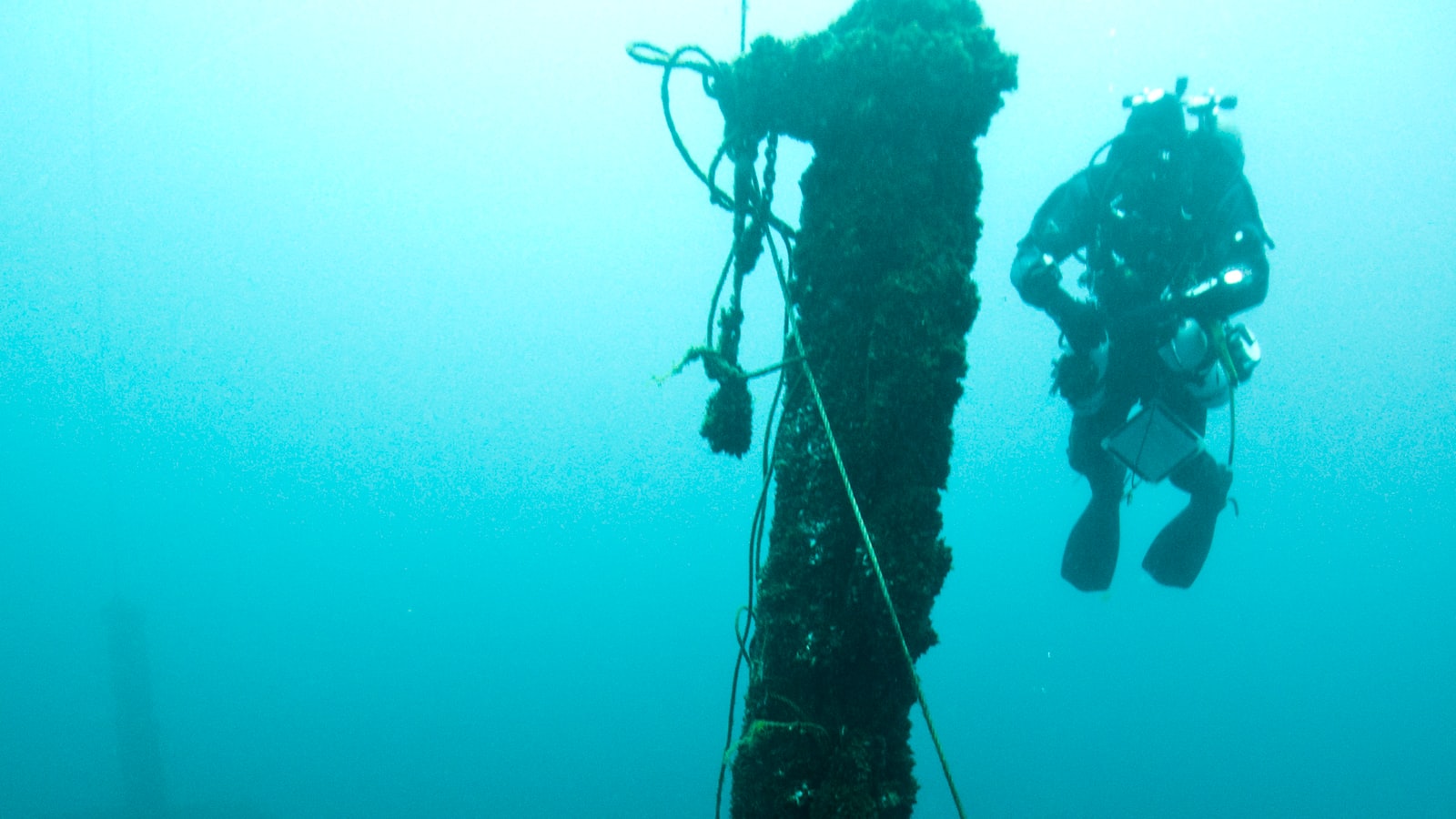 Introducing Your Research Paper: Crafting a Stellar Introduction ...